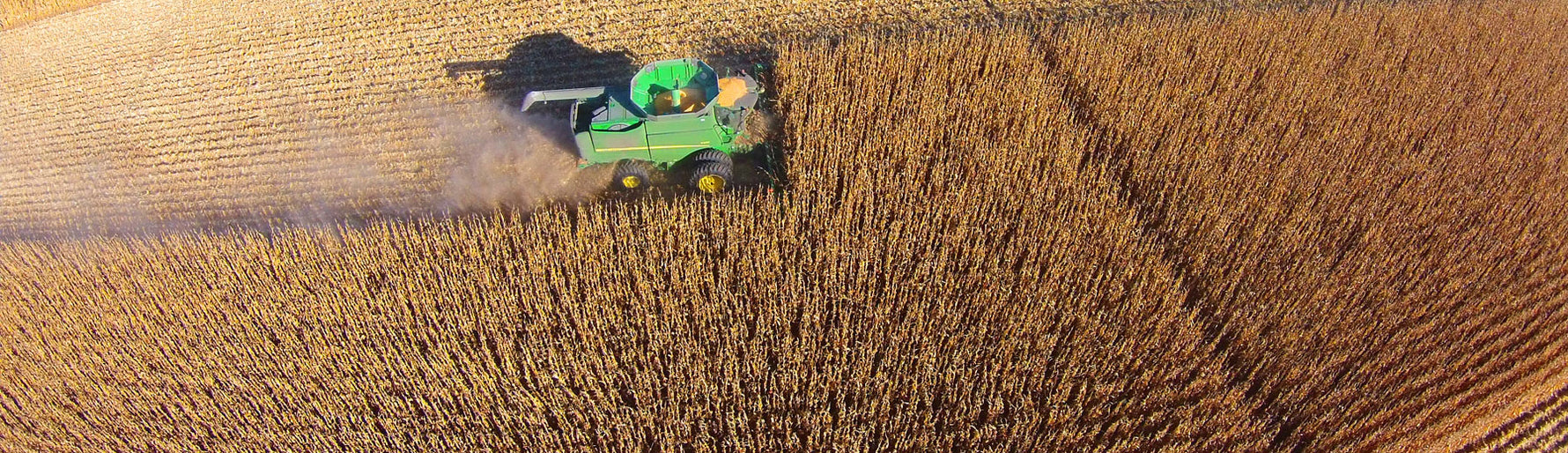 Case Study - Fintel Farms – Magnation