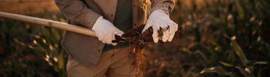 Case Study - Soil Salinity – Magnation